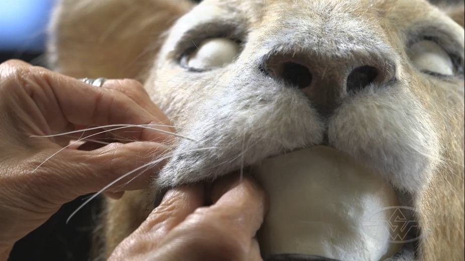 How to Make Whiskers for Animatronic Animals | Stan Winston School of ...