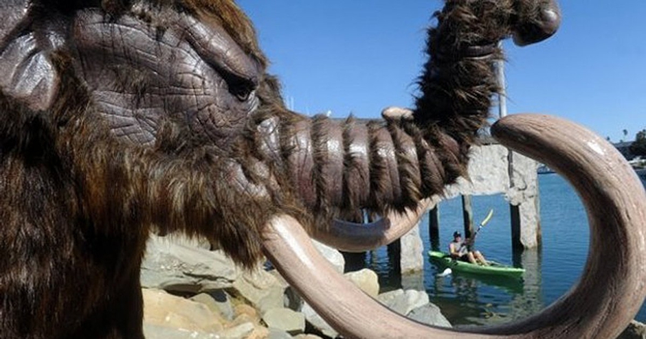 Chippy Walks Again - CIFX creates an Animatronic Mini-Mammoth for a ...