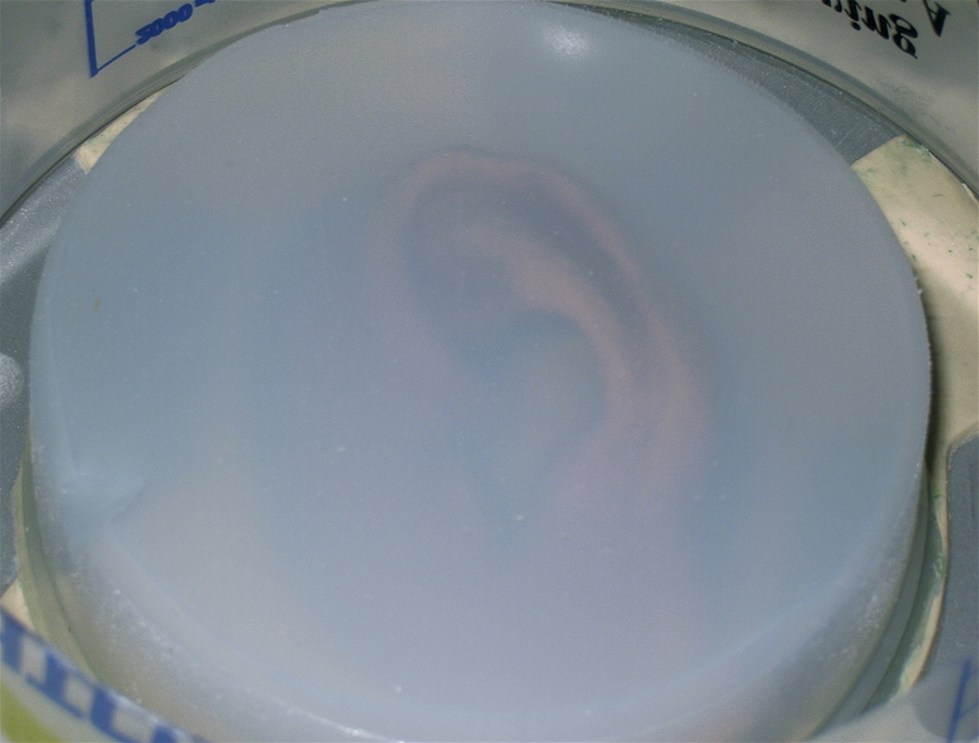 Rob Freitas - Master Mold Maker | Stan Winston School of Character Arts