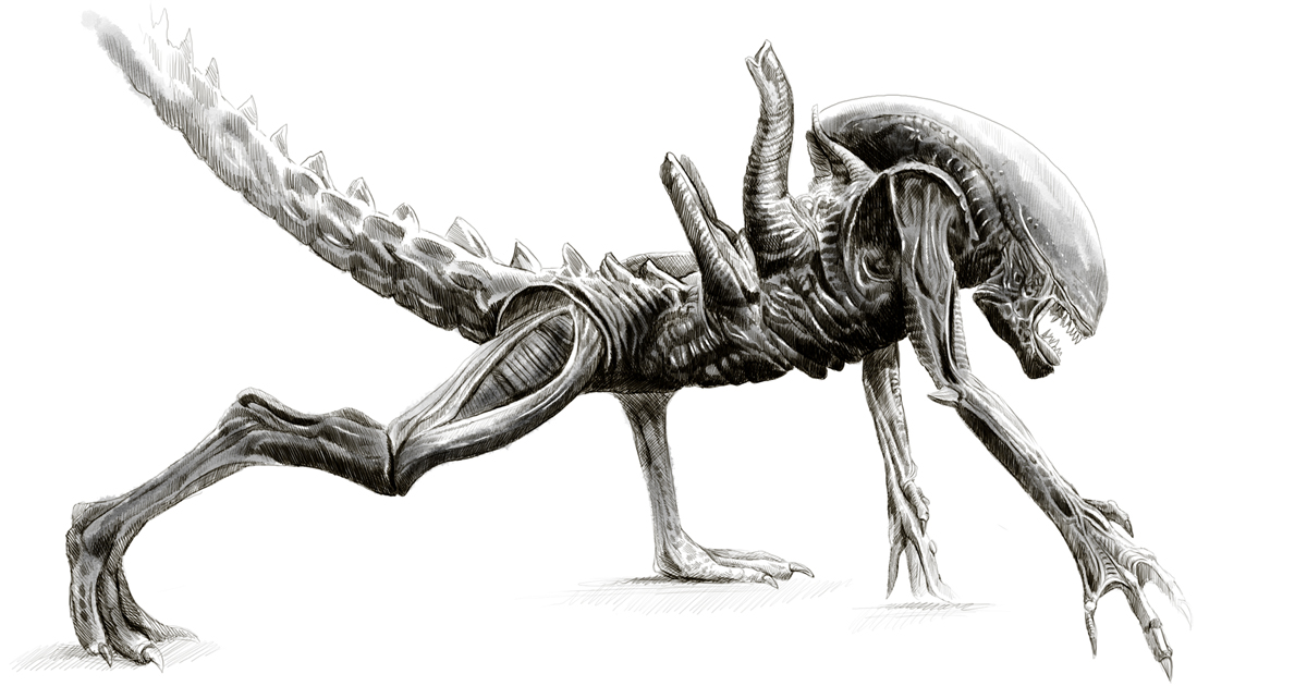 15-Year-Old Art Prodigy Draws Birds, Creatures and Monsters | Stan ...